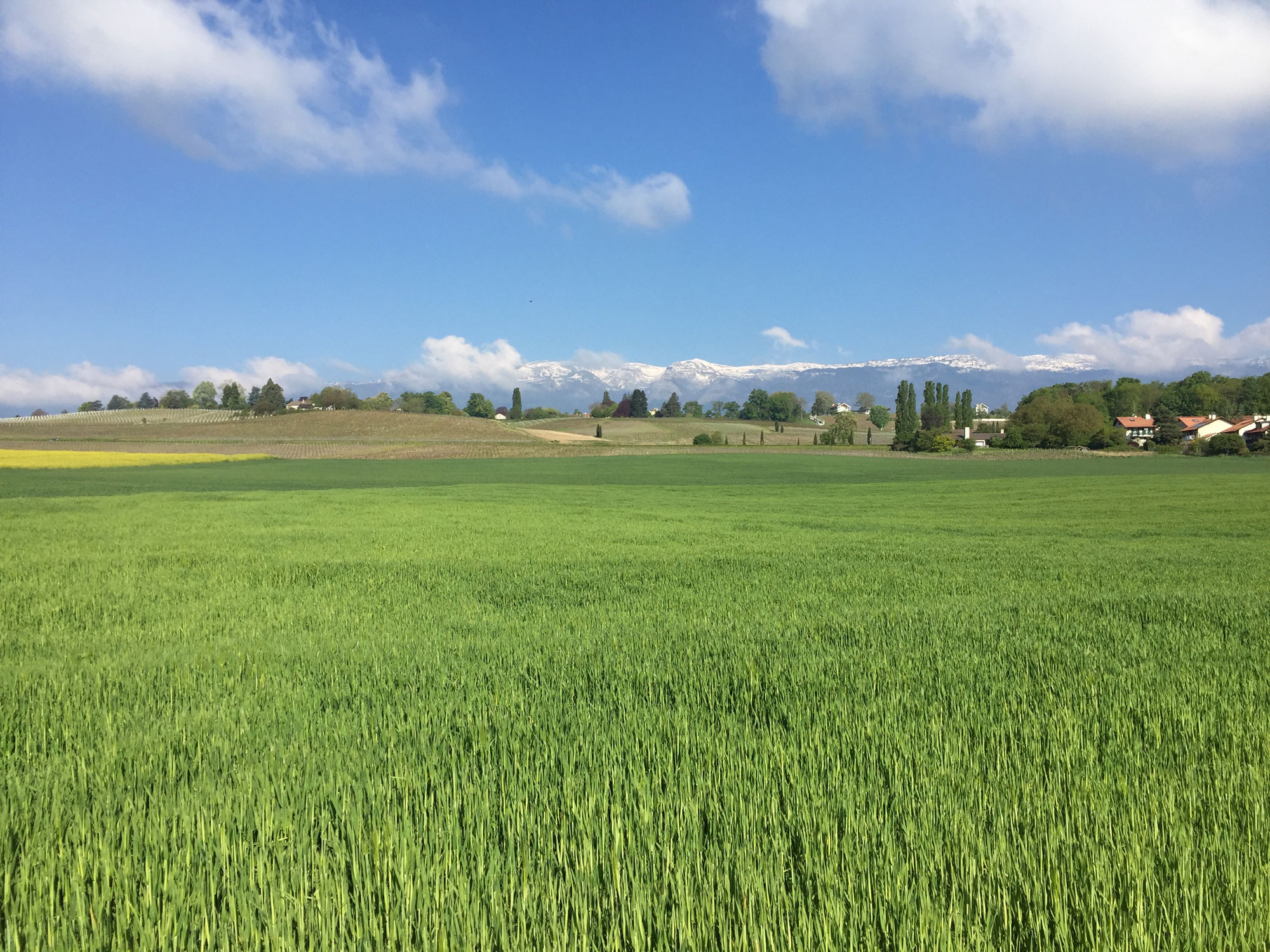 L’association Demain Satigny – Demain Satigny